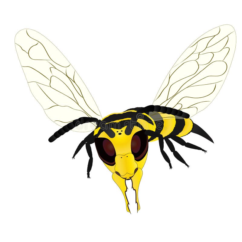 Angry Wasp Stock Illustrations – 320 Angry Wasp Stock Illustrations ...
