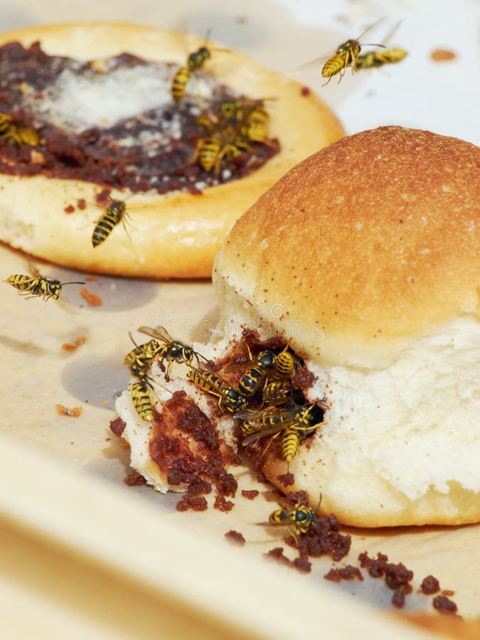 Wasps on pies stock photo. Image of black, filled, eating - 58261420