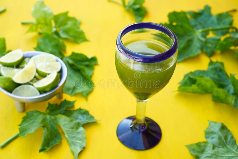 Wasser Agua De Chaya Mayabaum-Spinat Stockfoto - Bild von saft, kraut ...