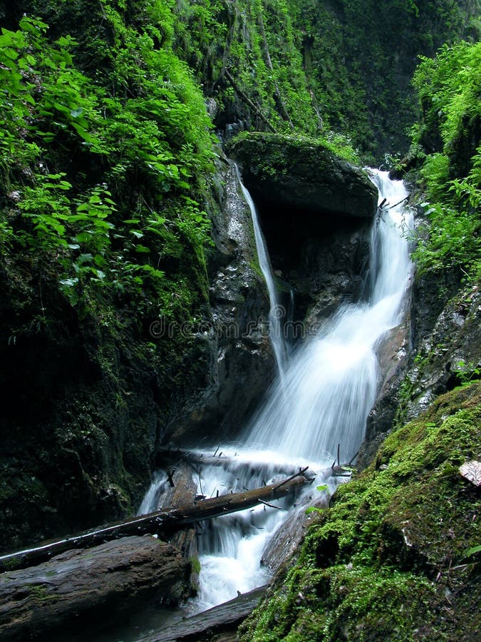 Wasserfall - Kolorado - USA Stockfoto - Bild von hoch, lustig: 244778