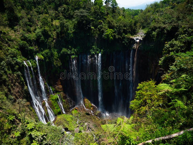 Wasserfall Coban Sewu Java Indonesia Stockfoto - Bild von frech, java ...