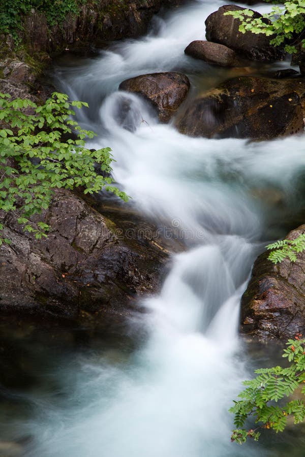 Wasserstrom im Wald stockbild. Bild von landschaft, nave - 20864323
