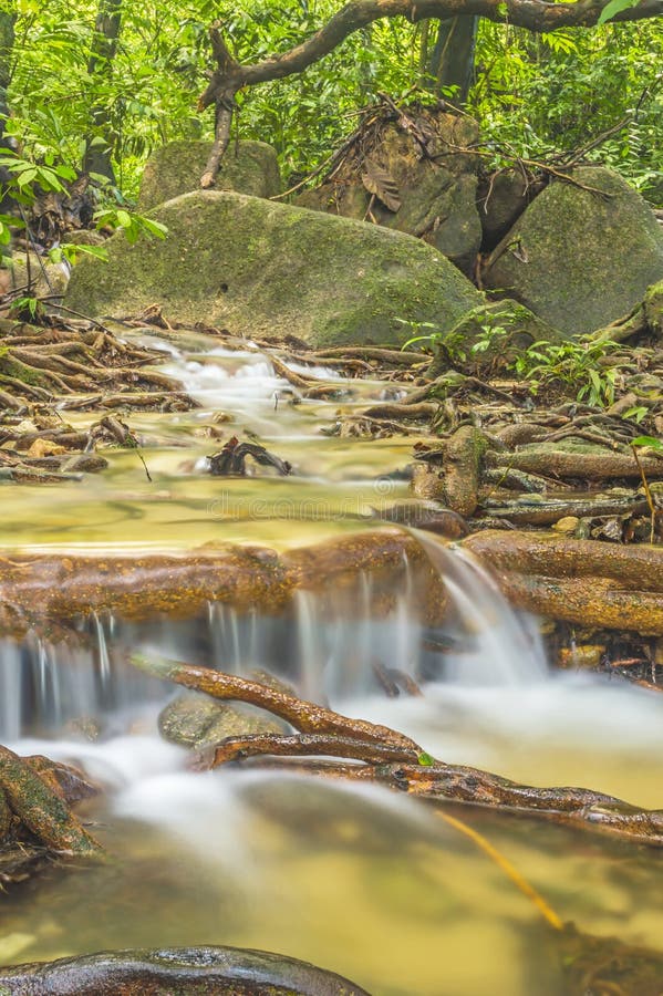 Wasserstrom stockbild. Bild von wasser, baum, felsen - 38778883