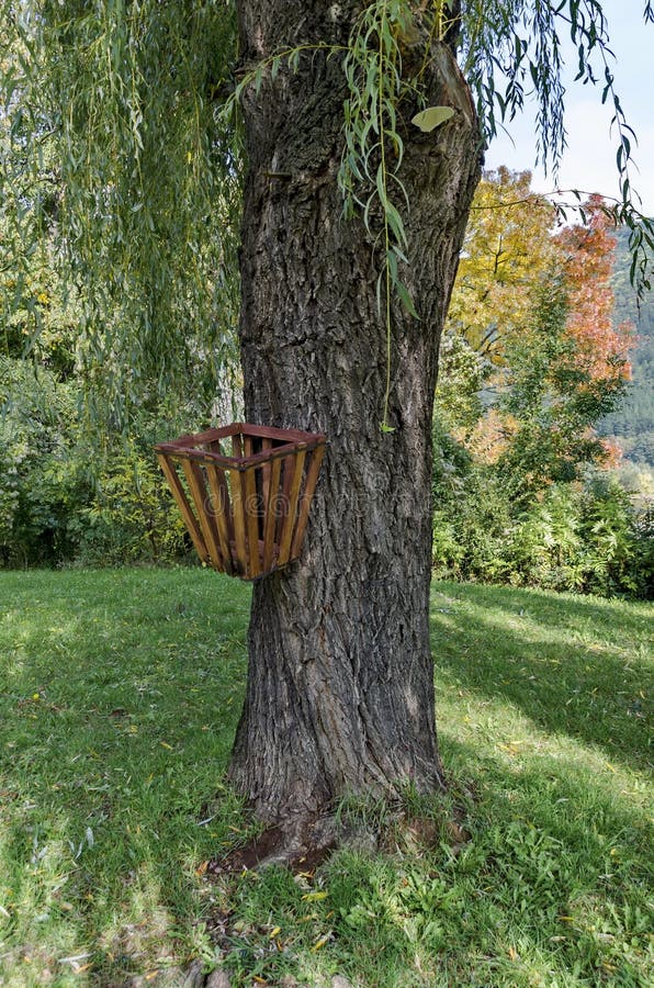 Waste Basket on Tree Stem in Park Stock Photo - Image of green, trees ...
