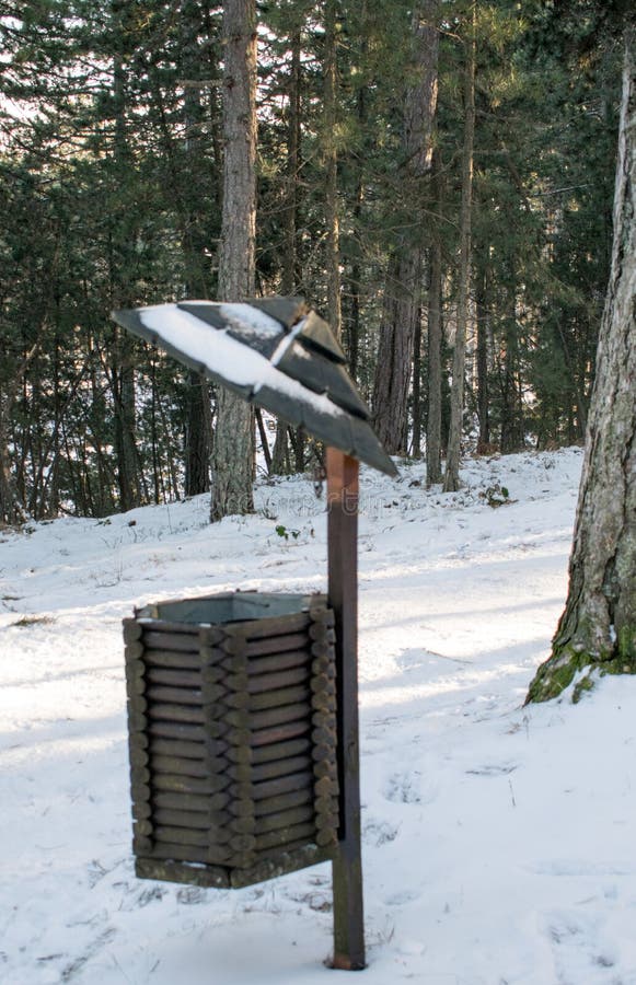 Waste Basket on a Tree in the Woods Stock Photo - Image of dumpster ...