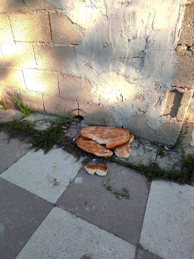 Waste of Bread, Waste of Bread, Saving on Bread Stock Photo - Image of ...