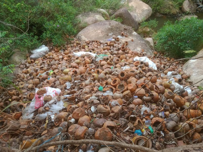 Waste from Coconut Shells that Can Cause Germs To Develop and Cause ...