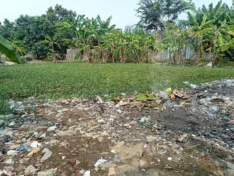 Waste Disposal in Area Anywhere Stock Photo - Image of waste, area ...