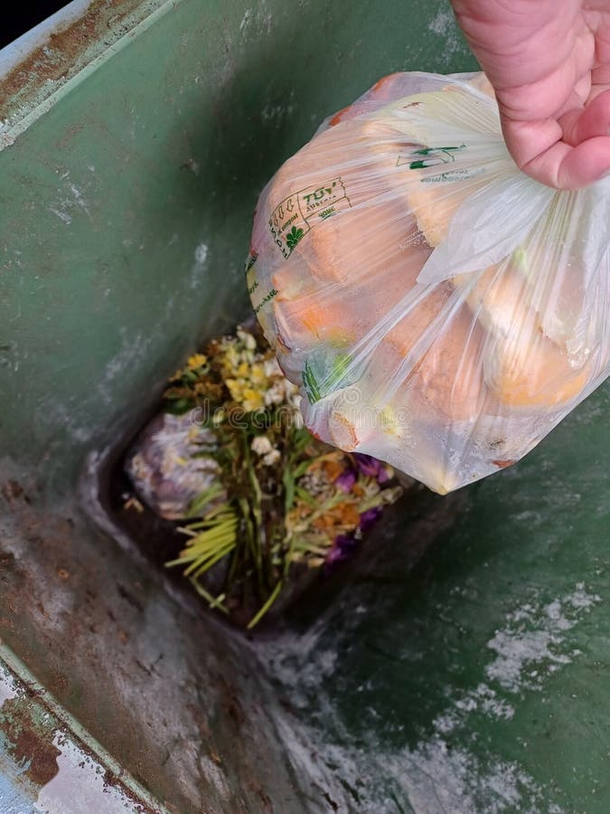 Waste Food Placed in Recycling Bin Stock Photo - Image of recyle ...