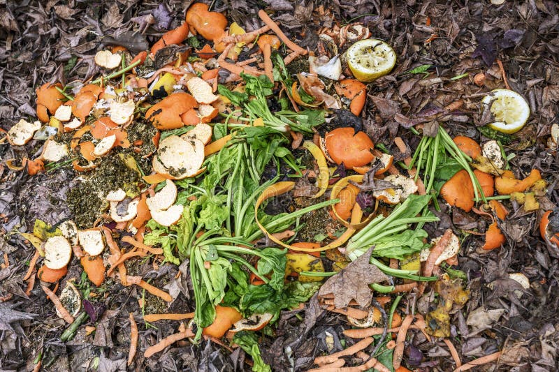 Waste and Leaves in the Compost Pile Stock Photo - Image of rotting ...