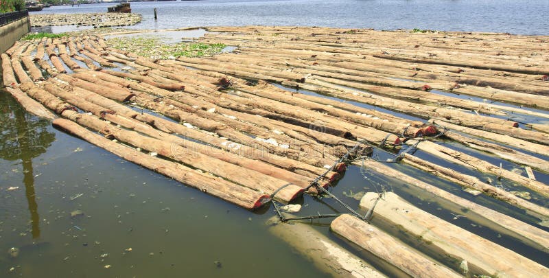 Waste & log on river stock image. Image of float - 79561497