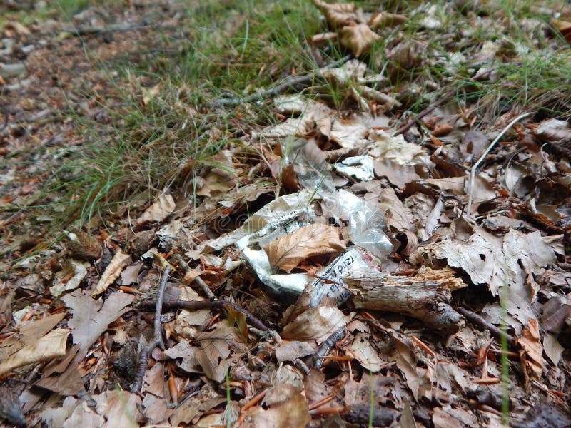 Waste in nature stock image. Image of forest, nature - 253111651