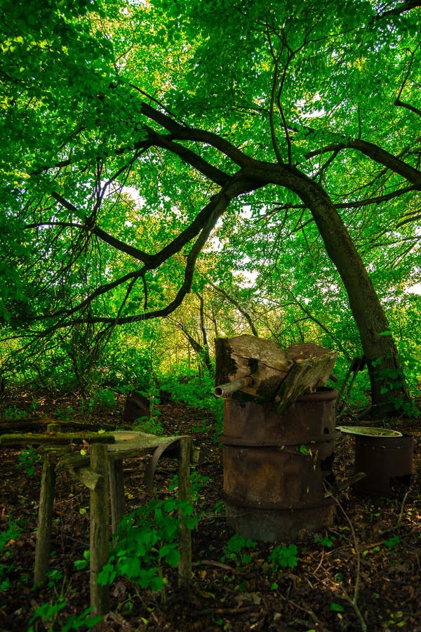 Waste and nature stock image. Image of impact, thicket - 85837471