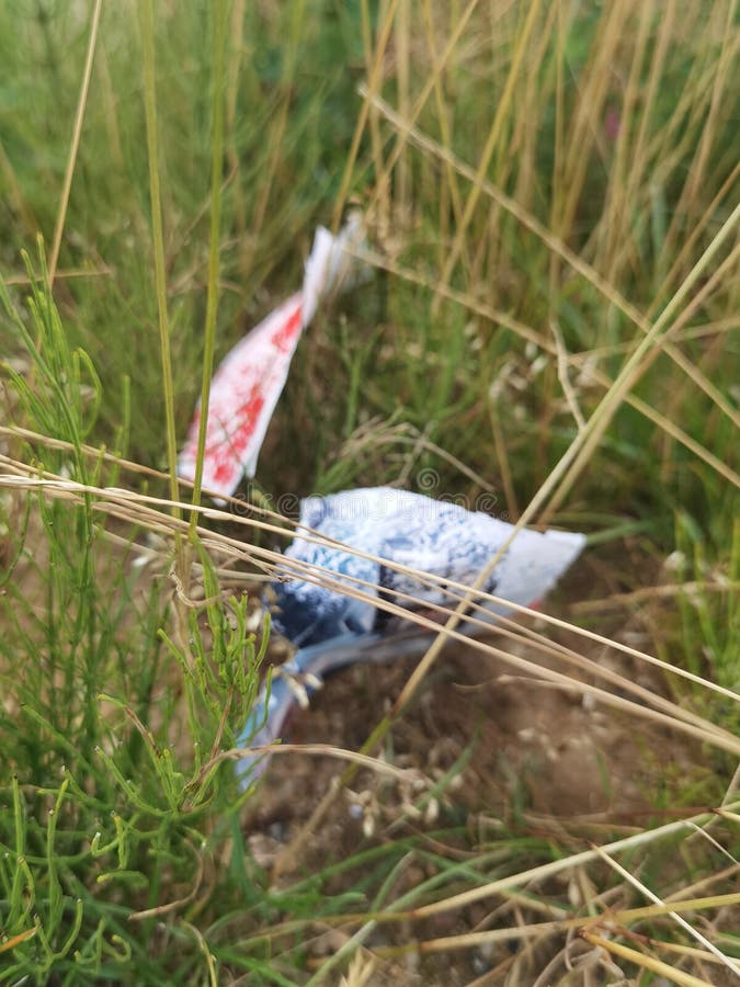 Waste in nature stock photo. Image of leaf, lawn, flower - 253111672
