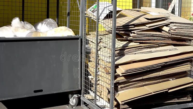 Bin Container for Disposal Garbage Waste and Save Environment Stock ...