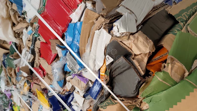 Waste Paper from Pressed Cardboard Boxes is Sorted and Packed for ...