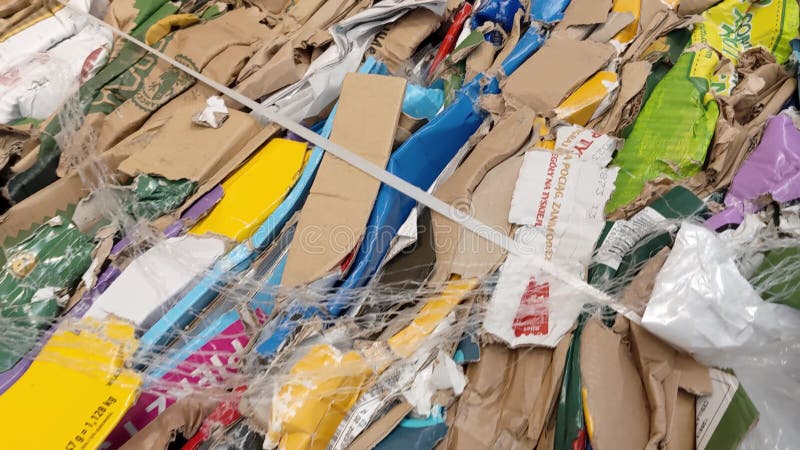 Waste Paper from Pressed Cardboard Boxes is Sorted and Packed for ...