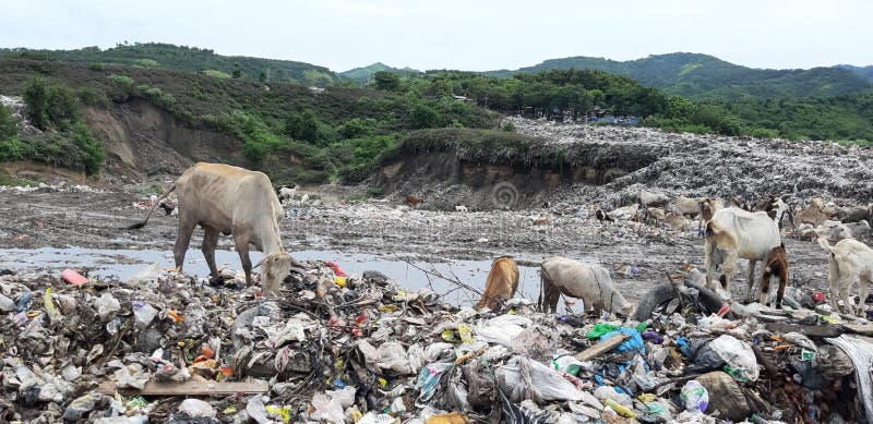 Waste plastick pollution stock photo. Image of plastick - 214384668