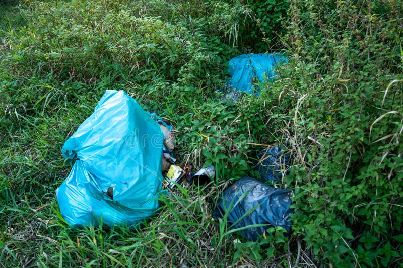 Waste Pollution: Garbage Bags Left in the Forest Stock Image - Image of ...