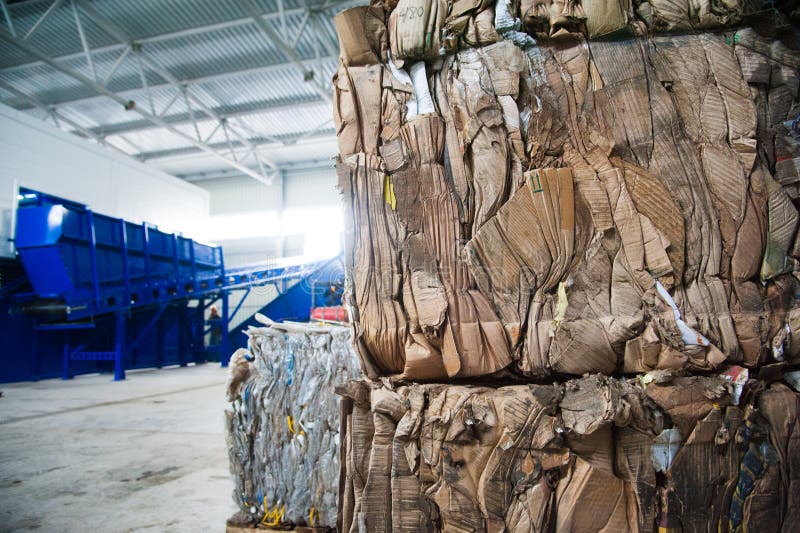 Waste recycling factory stock photo. Image of processing - 115536896