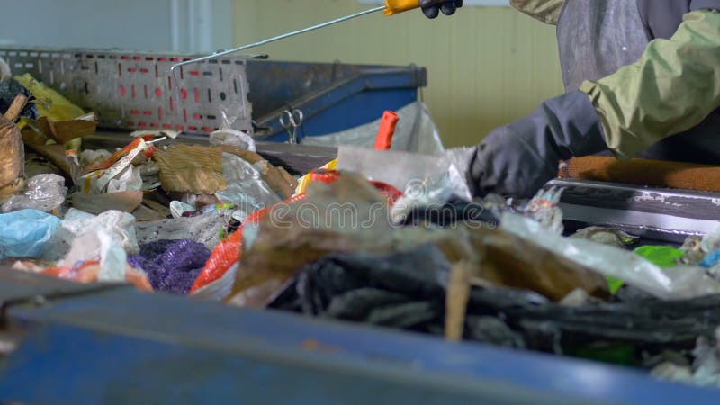 Waste Recycling Plant. Workers Sorting Garbage for Recycling Stock ...