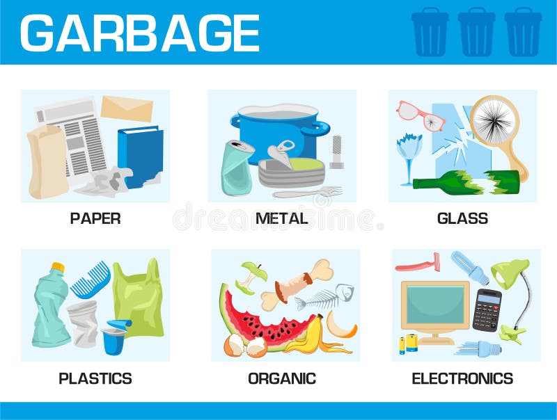 Waste Segregation Infographic. Sorting Garbage by Material and Type ...