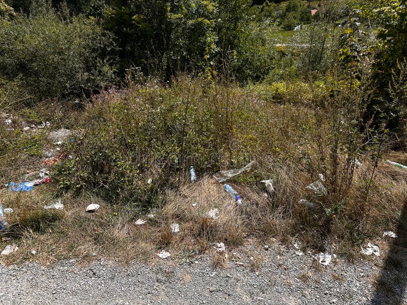 Waste on the Side of the Road in Bushes and on the Ground ...