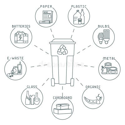 Waste Sorting Diagram with Dustbin and Trash Stock Vector ...