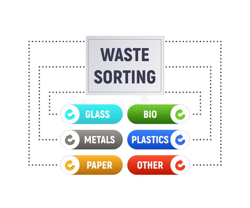 Waste Sorting Infographics Vector Illustration Stock Vector ...