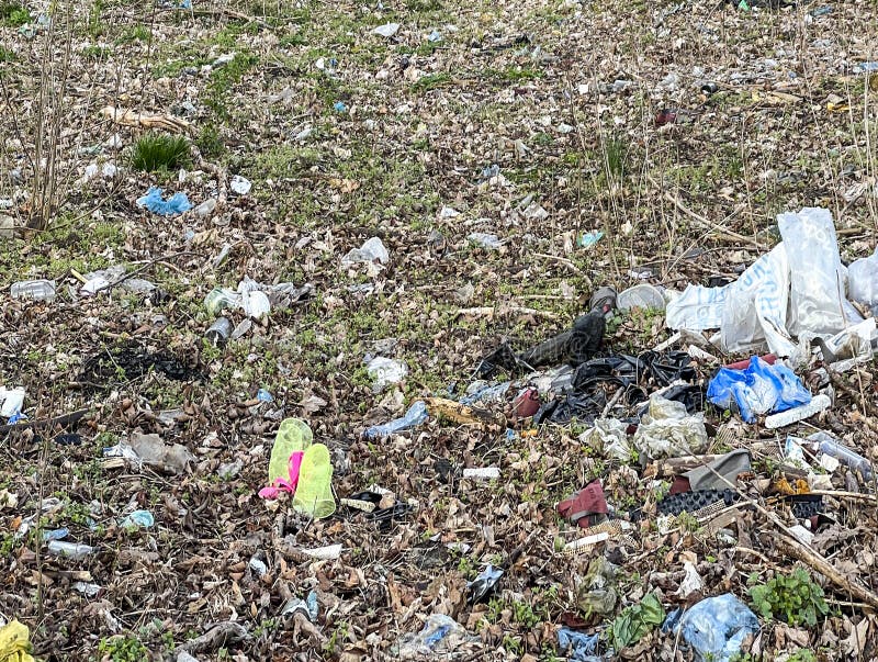 Waste and Various Garbage in Forests and Green Areas are a Problem If ...