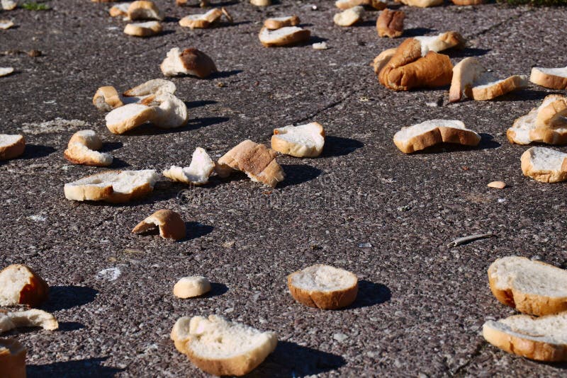 Wasted Bread, Tossing Breads and Buying Too Much Bread in Vain, Stale ...