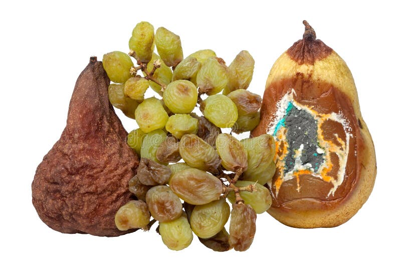 Wasted Fruit stock photo. Image of starvation, unhealthy - 13594124