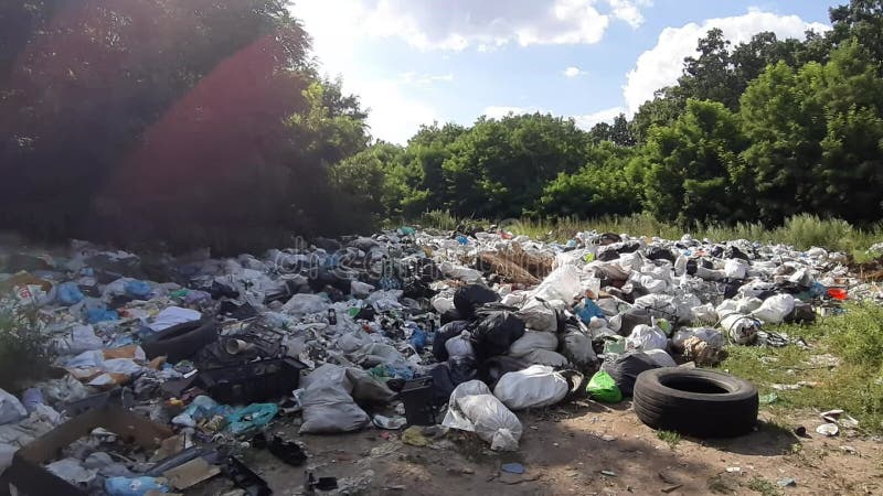 Wasteland in a Forest. Problem of Pollution Stock Footage - Video of ...