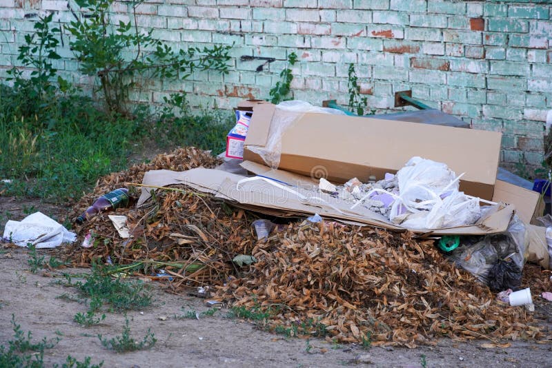 Wasteland with a Lot Garbage and Pollution Stock Image - Image of ...