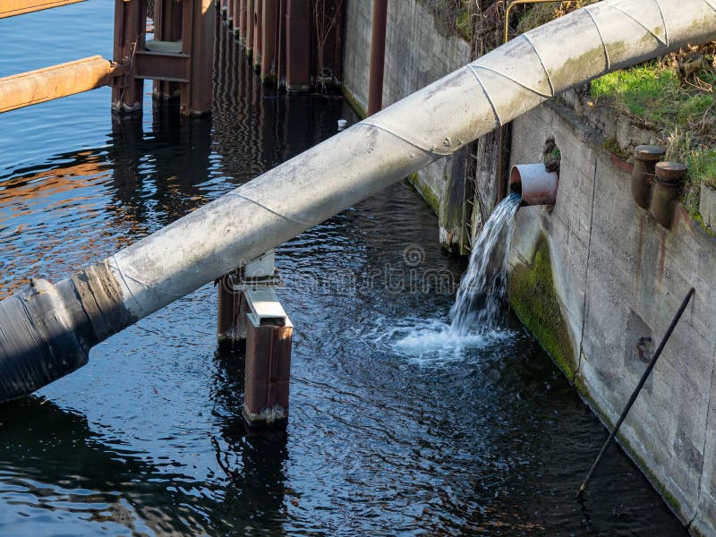 Wastewater Flows from a Pipe into a Canal. Stock Photo - Image of ...