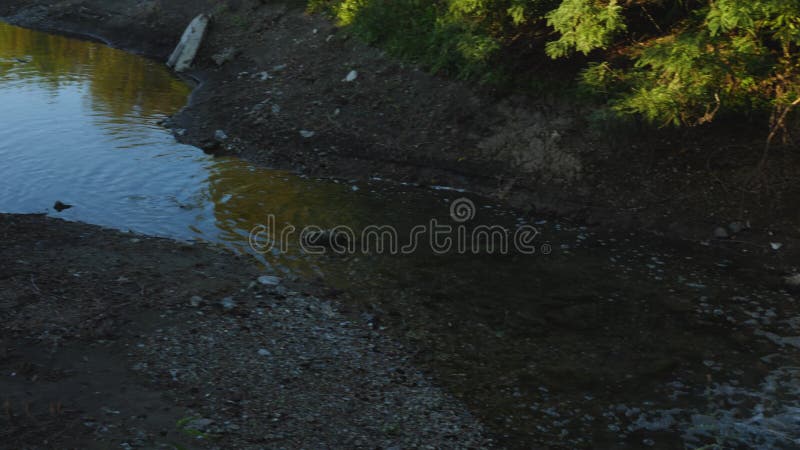 Wastewater from the Sewer Flows into the River. Environmental Pollution ...