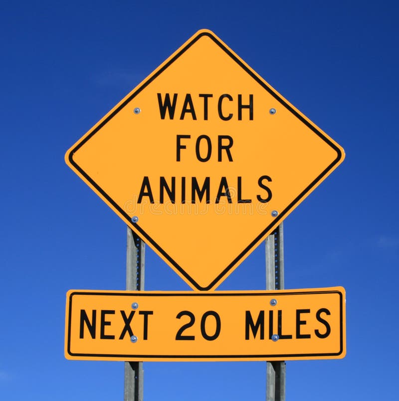 Animal shelter sign stock photo. Image of centre, center - 19455656