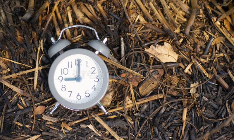 The Watch on an Area with Burnt Things Stock Image - Image of outdoors ...