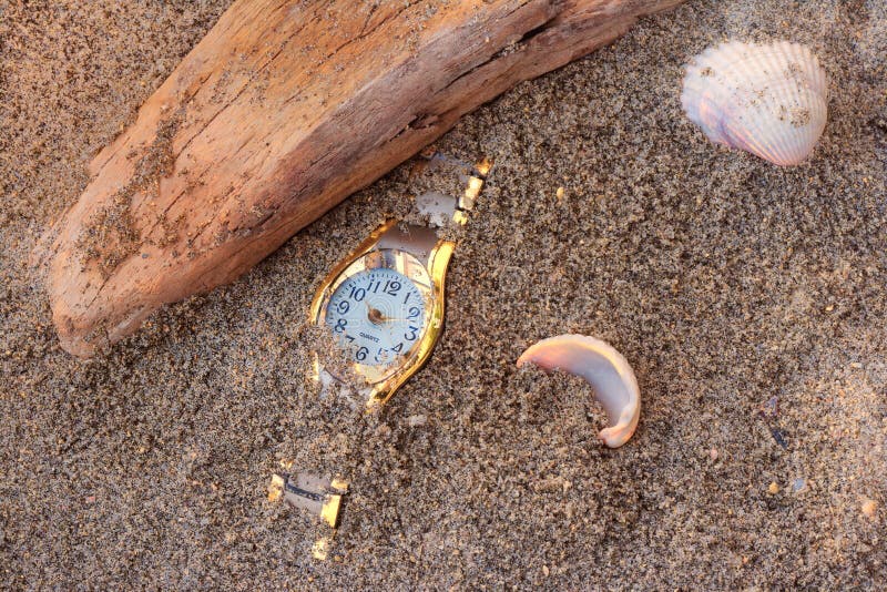 Watch lost in the sand stock photo. Image of golden, oysters - 15942958