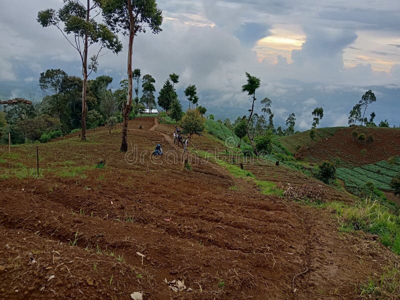 Watch the Sunset from the Top of Mount Cikuray.. Stock Image - Image of ...