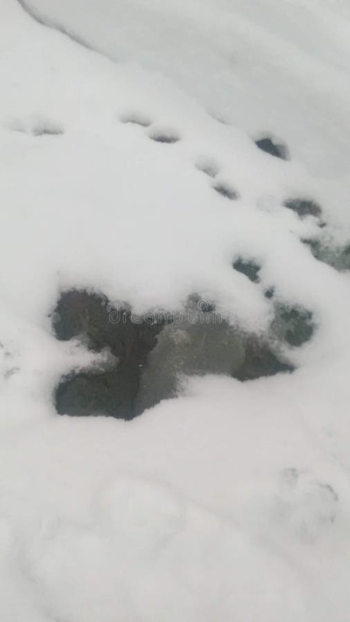 Watch Your Step while Walking in the Snow Stock Photo - Image of watch ...