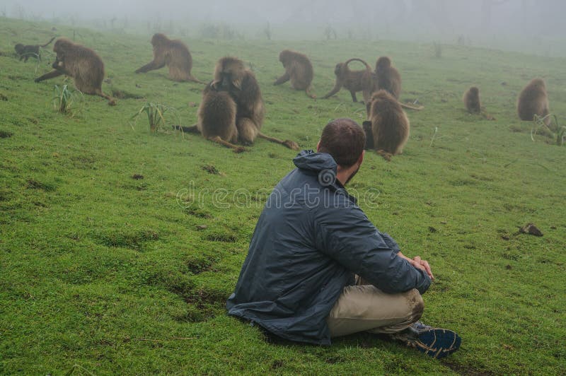 Watching monkeys. editorial stock image. Image of wildlife - 100366829