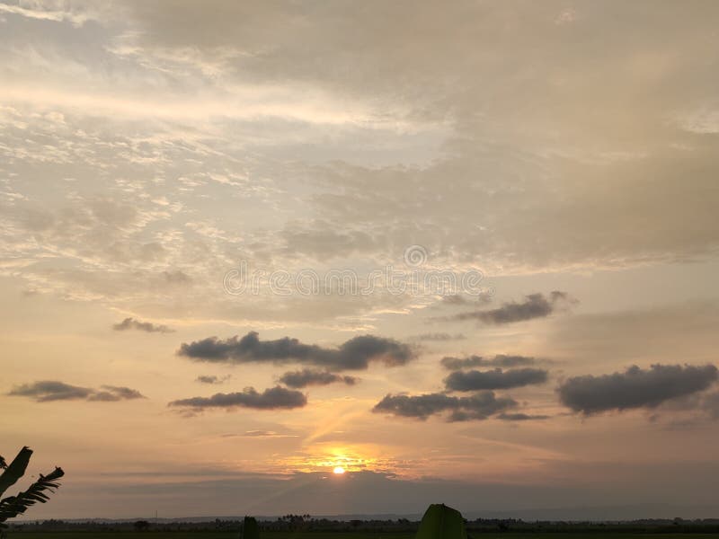 Watching the Sunset Over the Rice Fields in the Village Stock Image ...