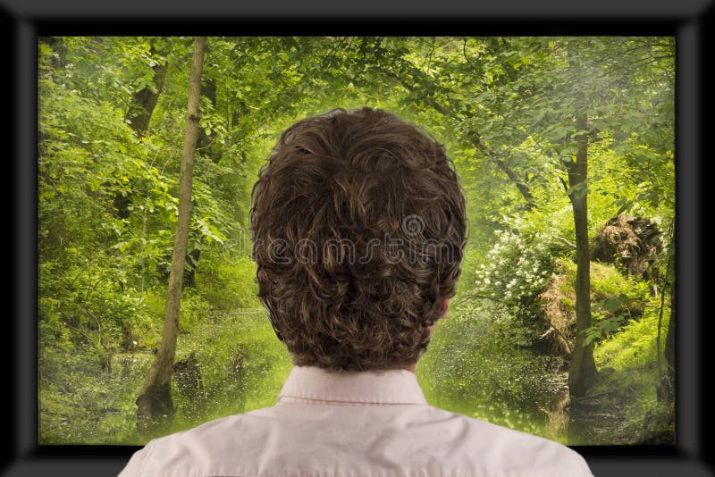 Watching Television stock photo. Image of landscape, movie - 55905630