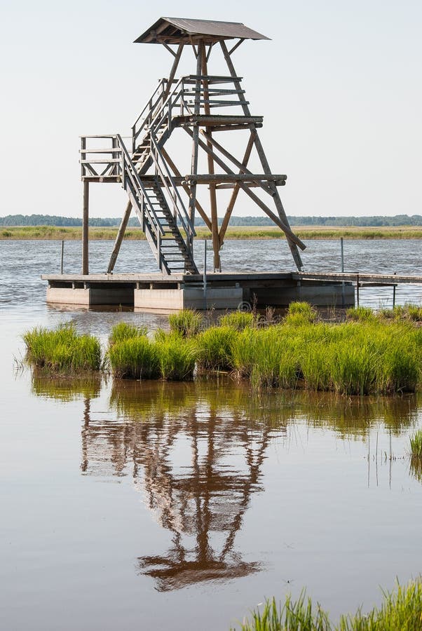 Watching Tower and Islands in Engure Lake, Latvia Stock Photo - Image ...