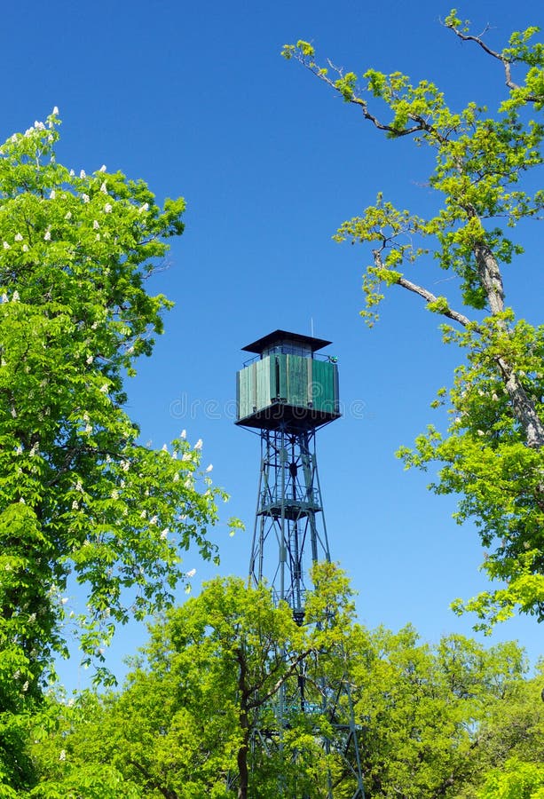 Watchtower in Fontainebleau Forest Stock Photo - Image of nature ...