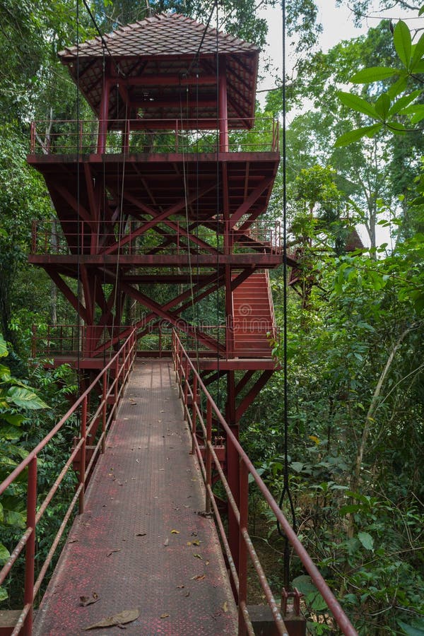 Watchtower stock image. Image of look, watchtower, wood - 63652807