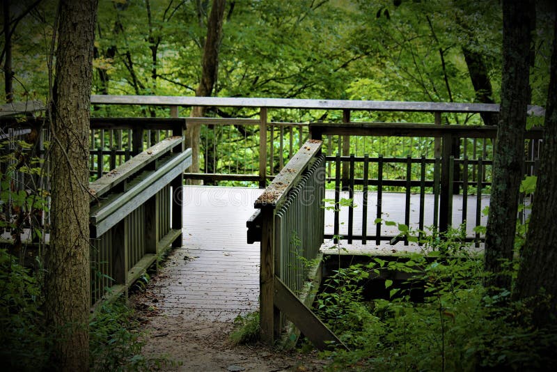 Watchtower in the Forest stock photo. Image of fence - 98688312