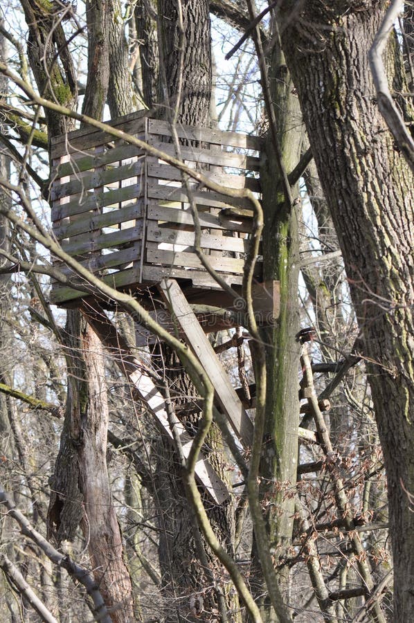 Watchtower in forest stock photo. Image of mist, hidden - 88622130