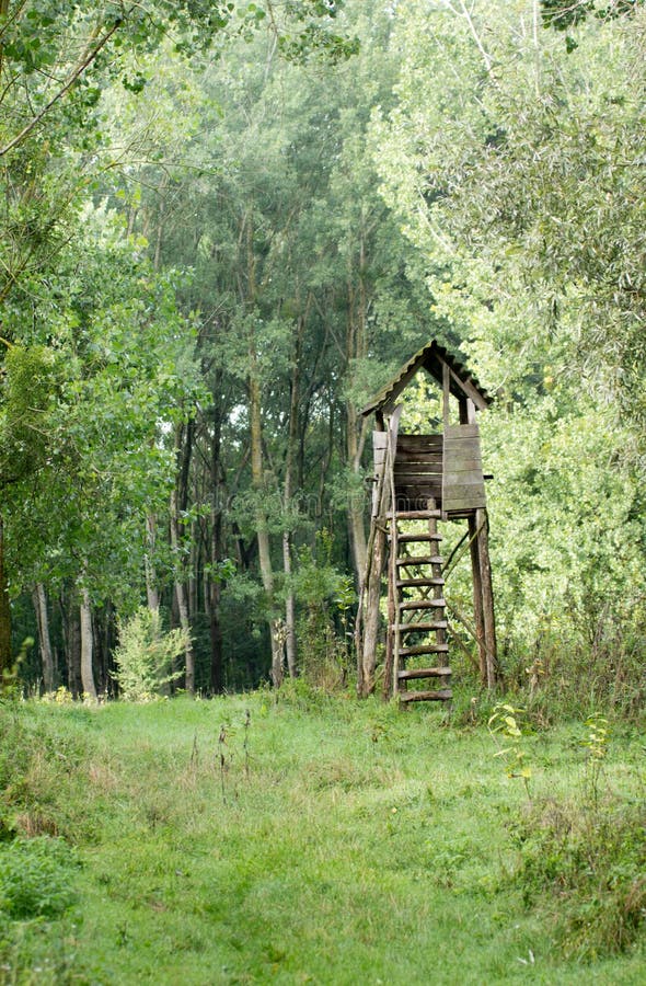 Watchtower in forest stock photo. Image of mist, hidden - 88622130
